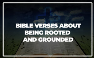 35 Bible Verses About Being Rooted and Grounded - Bible Repository