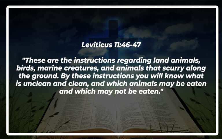 35 Bible Verses About Eating Meat - Bible Repository