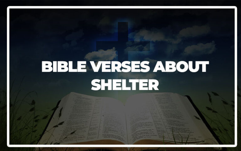 35 Bible Verses About Shelter - Bible Repository