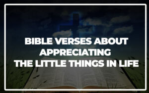 35 Bible Verses About Appreciating the Little Things in Life - Bible Repository