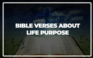 35 Bible Verses About Life Purpose - Bible Repository