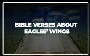 35 Bible Verses About Eagles’ Wings - Bible Repository
