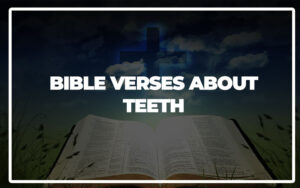 35 Bible Verses About Teeth - Bible Repository