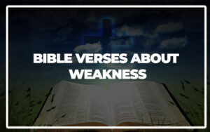 35 Bible Verses About Weakness - Bible Repository