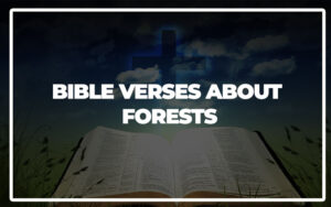 35 Bible Verses About Forests - Bible Repository