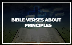 35 Bible Verses About Principles - Bible Repository