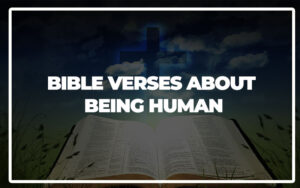 35 Bible Verses About Being Human - Bible Repository