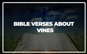 35 Bible Verses About Vines - Bible Repository