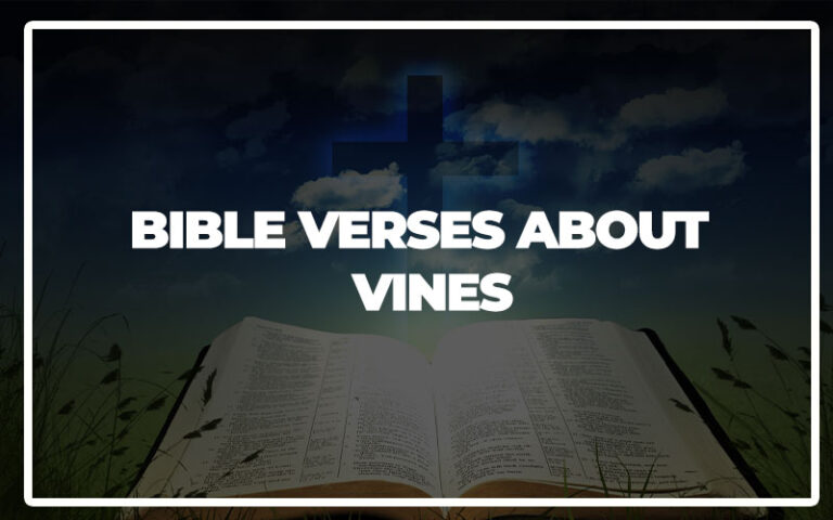 35 Bible Verses About Vines - Bible Repository
