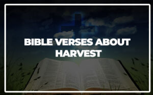 35 Bible Verses About Harvest - Bible Repository
