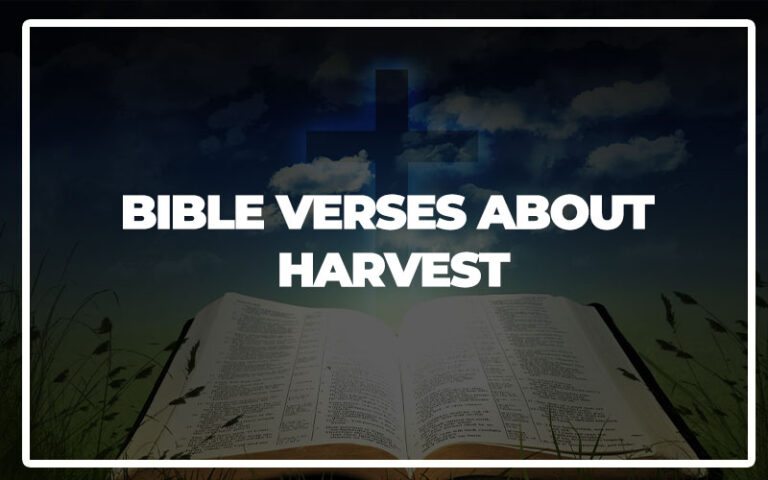 35 Bible Verses About Harvest - Bible Repository