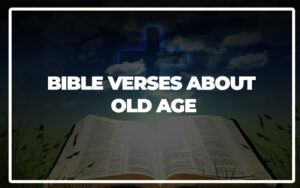 35 Bible Verses About Old Age - Bible Repository