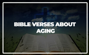 35 Bible Verses About Aging - Bible Repository